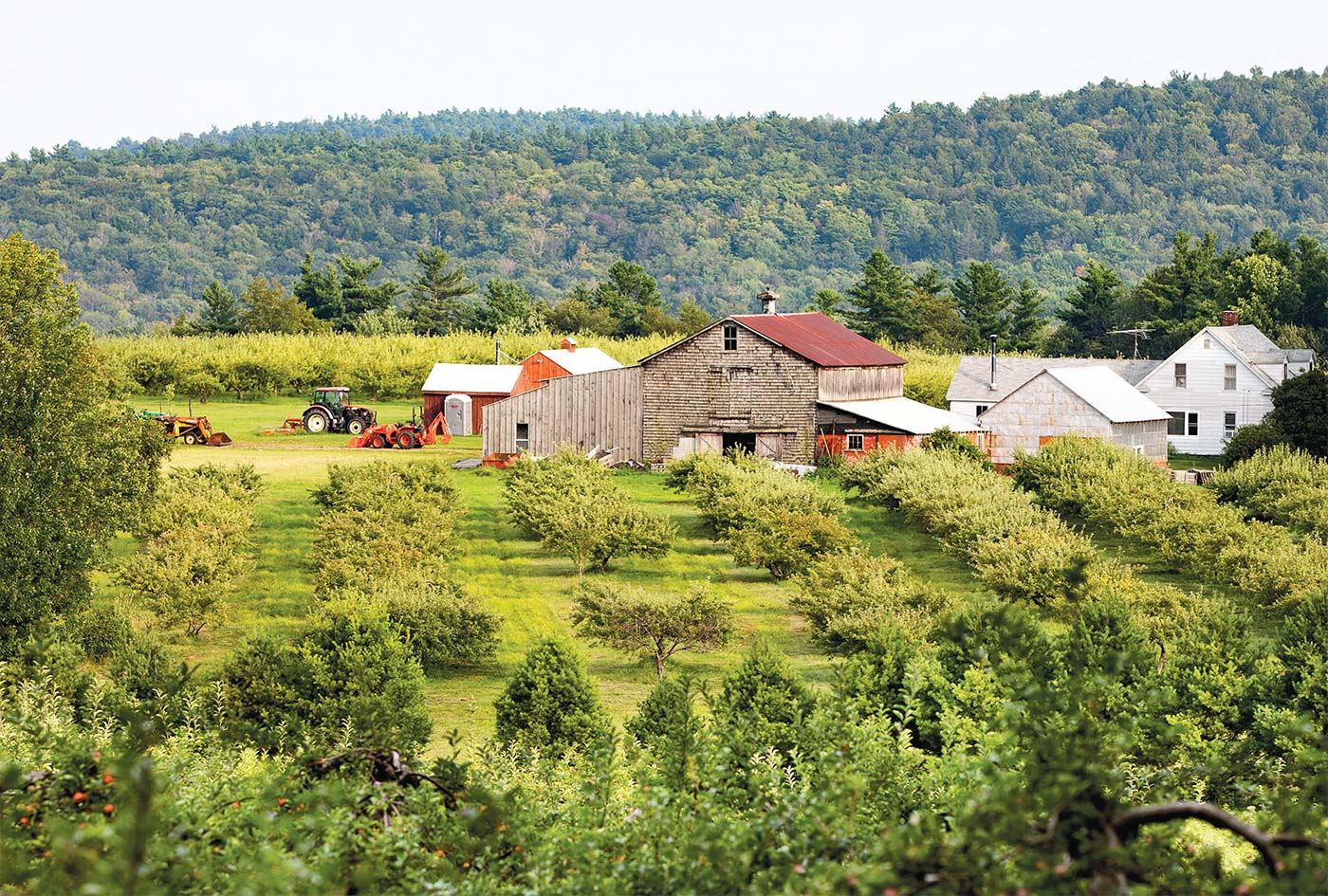 Ripe for Change - Edible Berkshires