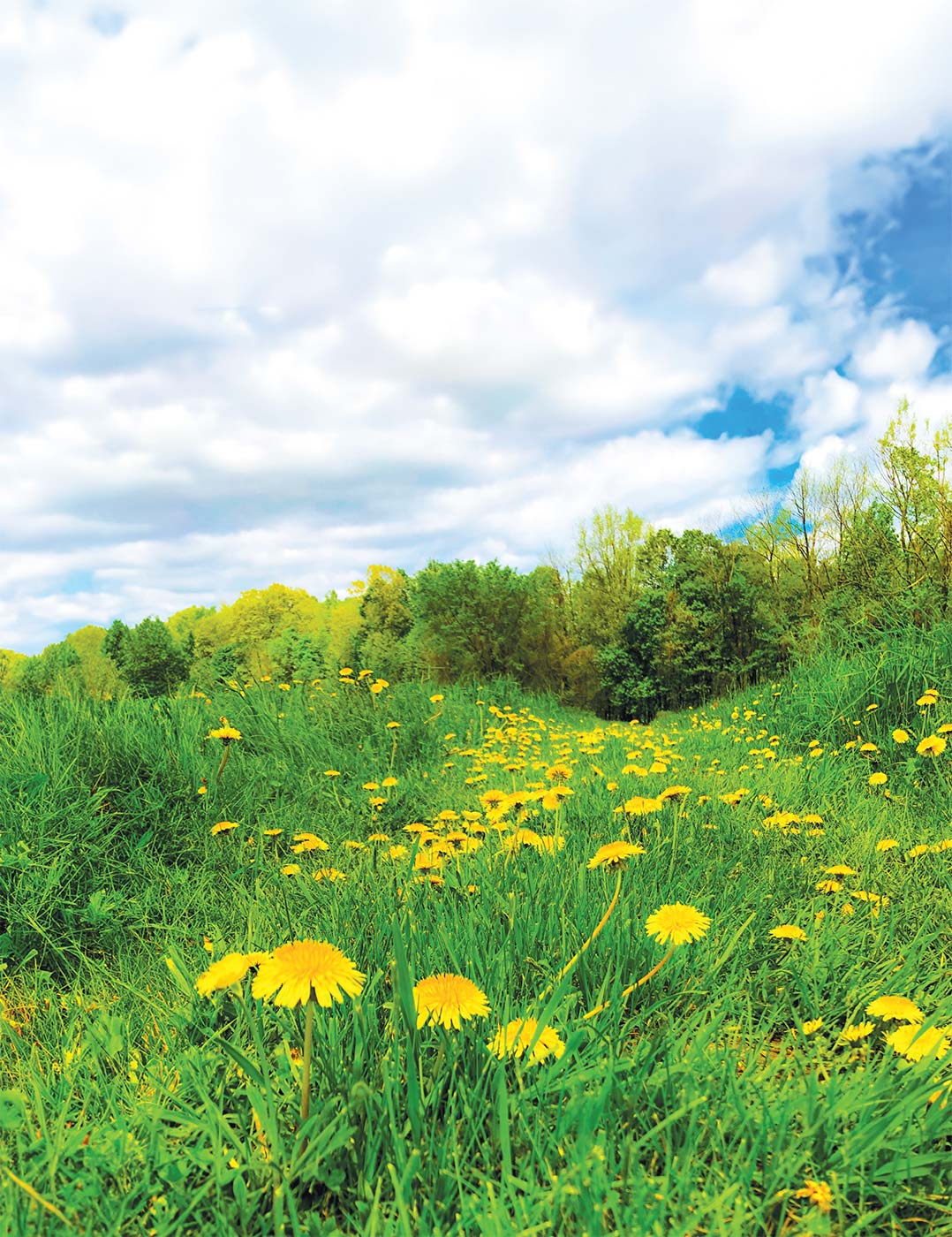 Welcome to Edible Berkshires - Edible Berkshires