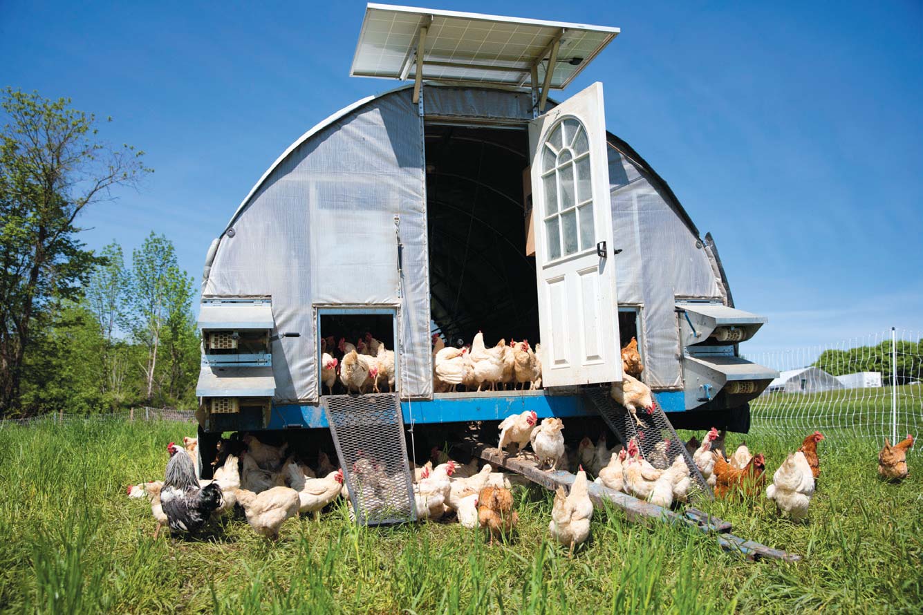 Mill River Farm Finds Its Sweet Spot by Donna Fenn - Edible Berkshires
